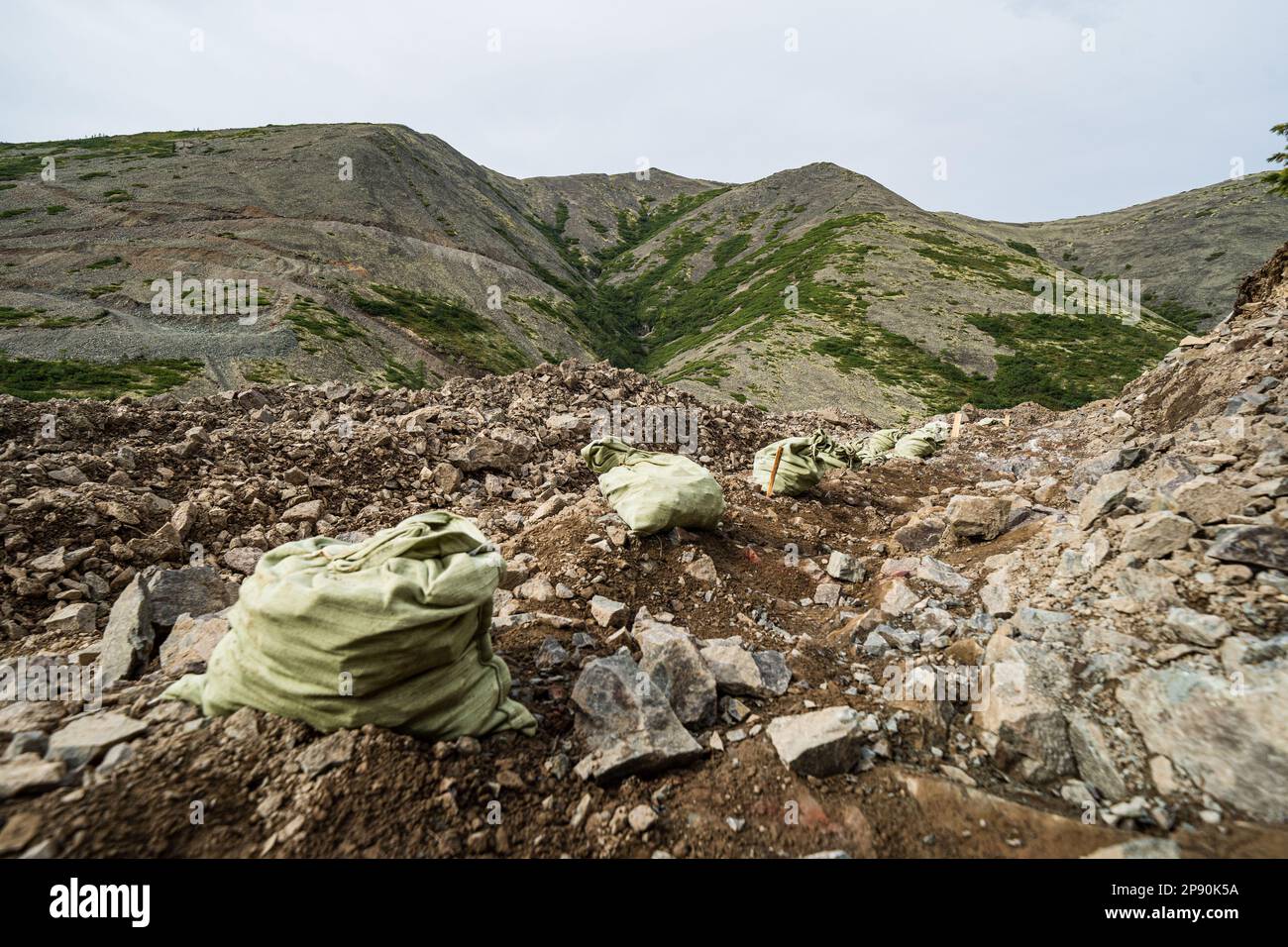 Soil Test. Agronomist putting soil with garden shovel in soil sample ...