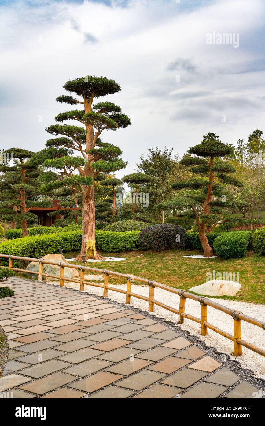 Plants and scenery in a beautiful Japanese garden Stock Photo - Alamy