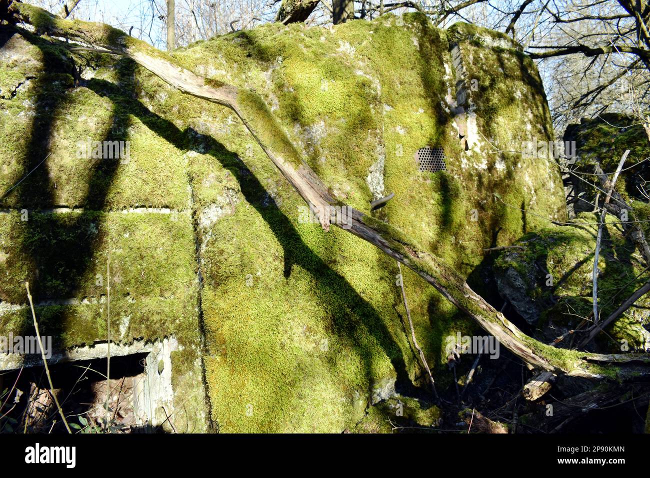 Eyewitnesses Wrecked Wehrmacht bunker Ruins of an old position in the ...
