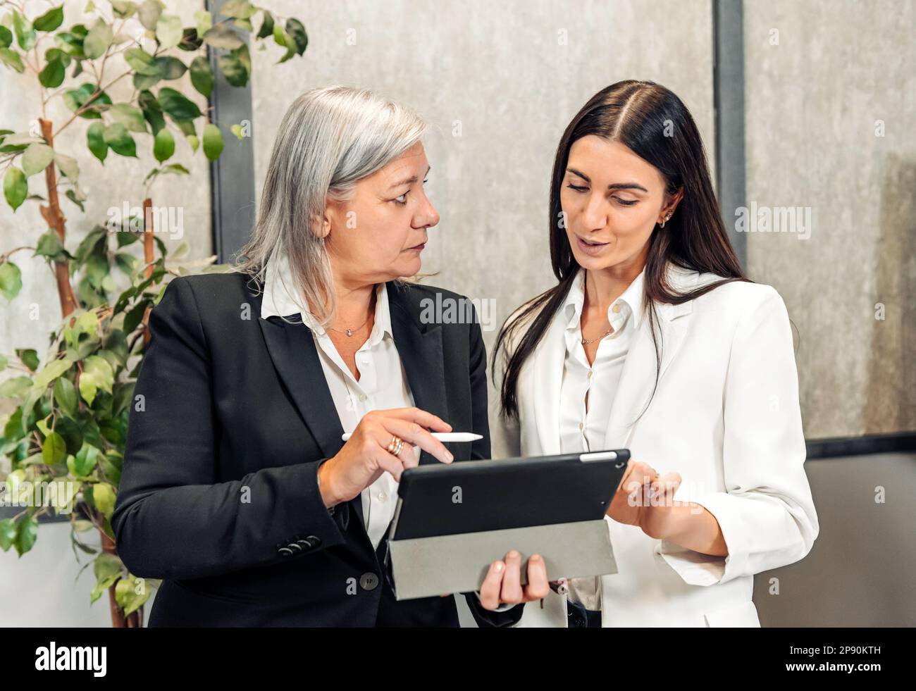 Concentrated female colleagues in formal wear standing in modern office ...