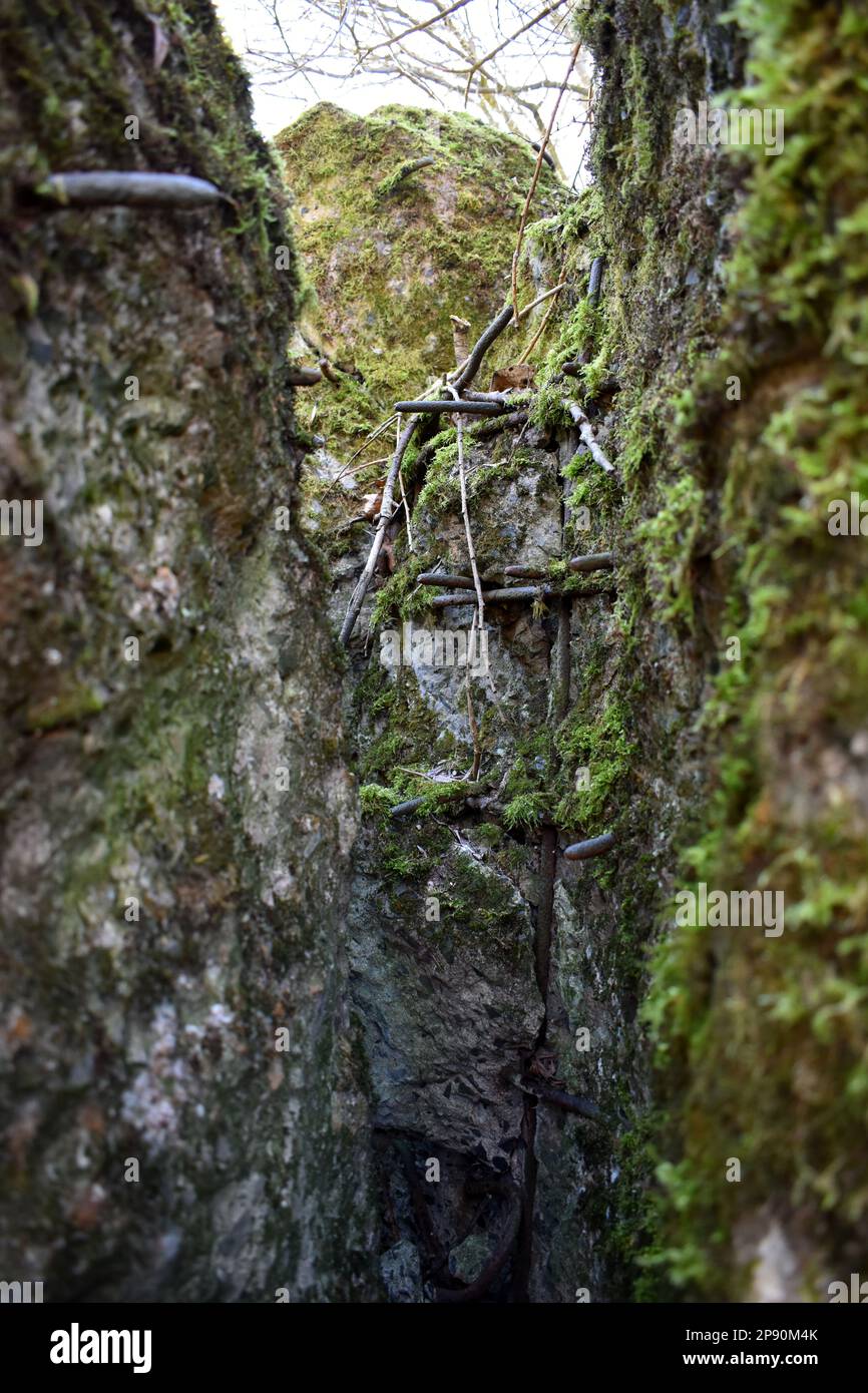 Eyewitnesses Wrecked Wehrmacht bunker Ruins of an old position in the ...