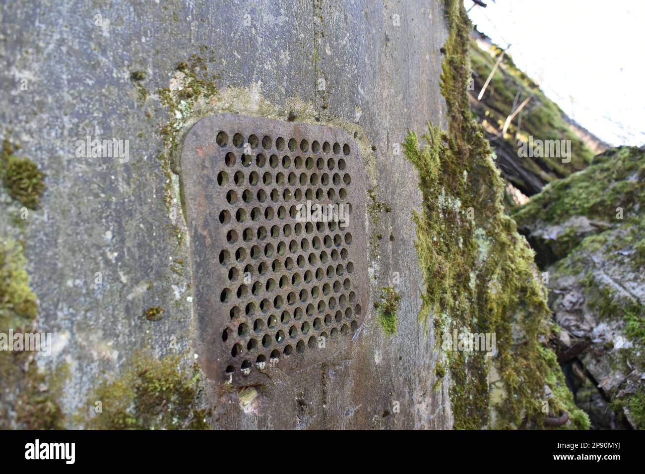 Eyewitnesses Wrecked Wehrmacht bunker Ruins of an old position in the ...