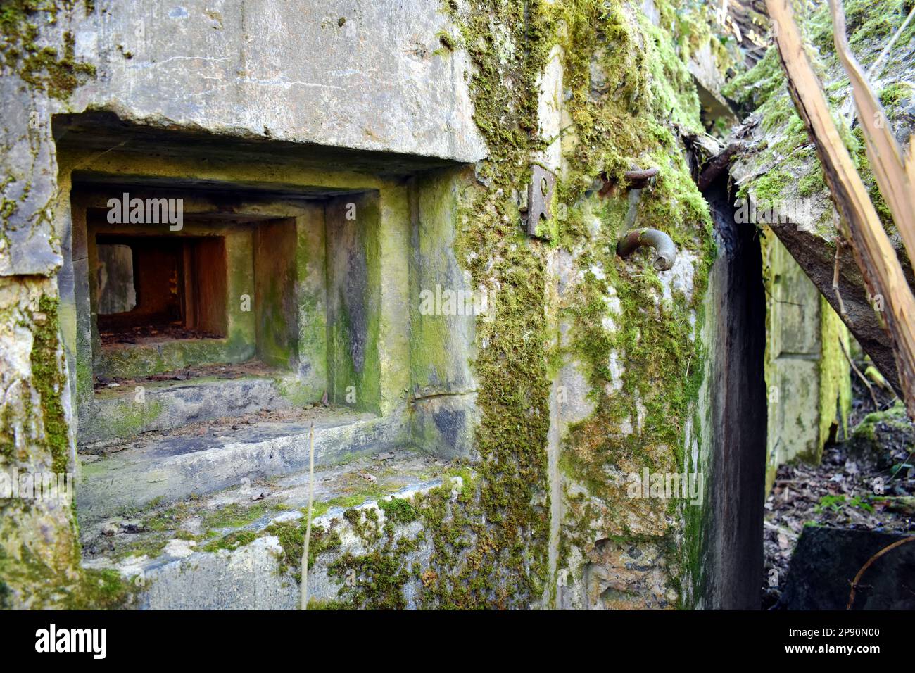 Eyewitnesses Wrecked Wehrmacht bunker Ruins of an old position in the ...