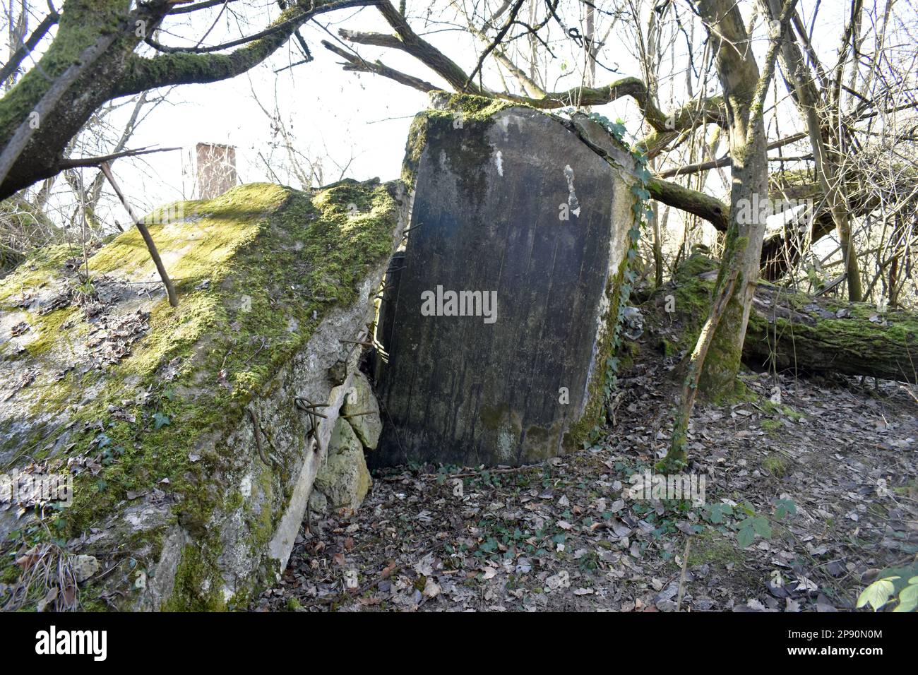Eyewitnesses Wrecked Wehrmacht bunker Ruins of an old position in the ...