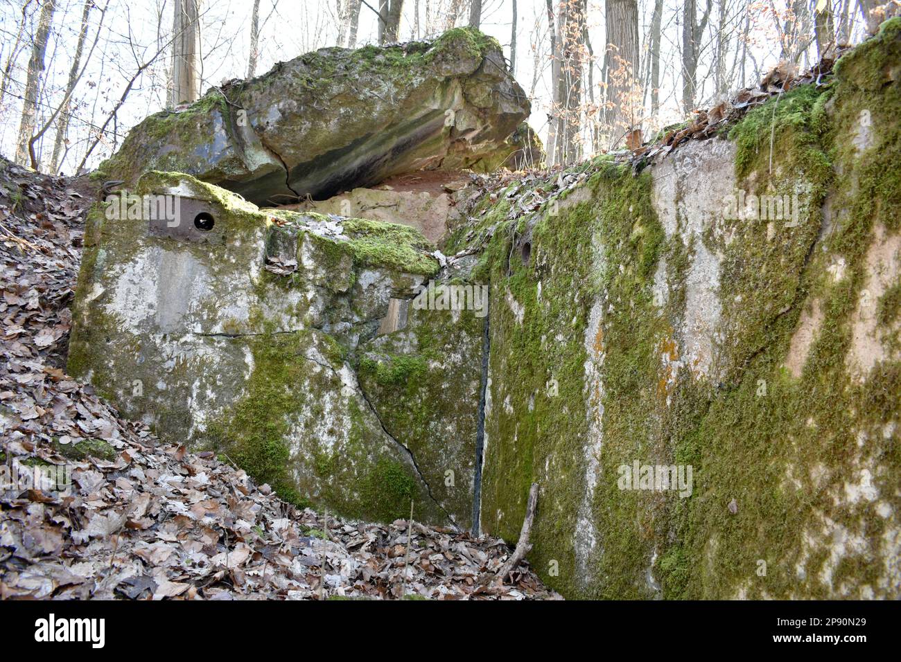 Eyewitnesses Wrecked Wehrmacht bunker Ruins of an old position in the ...