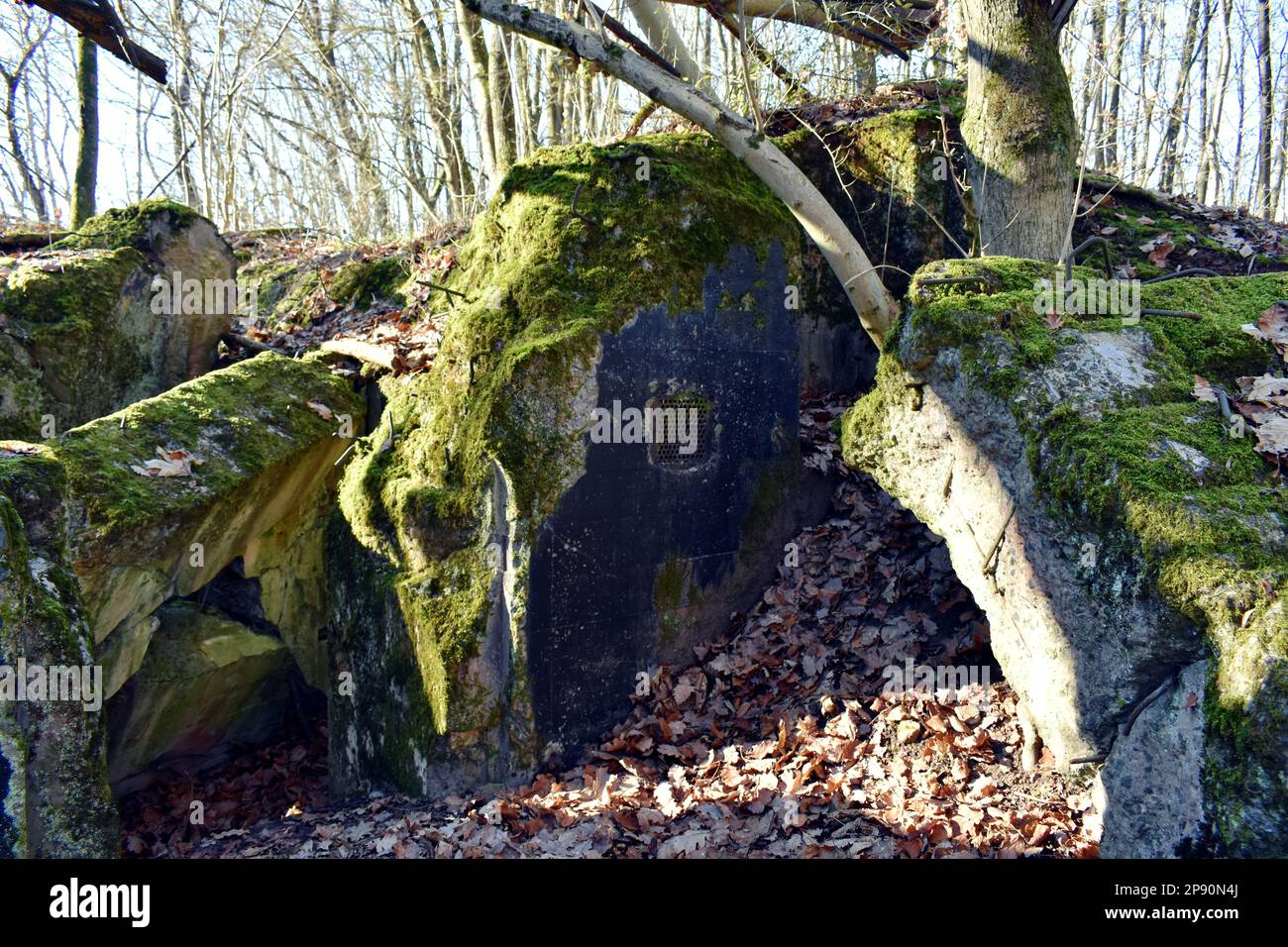 Eyewitnesses Wrecked Wehrmacht bunker Ruins of an old position in the ...