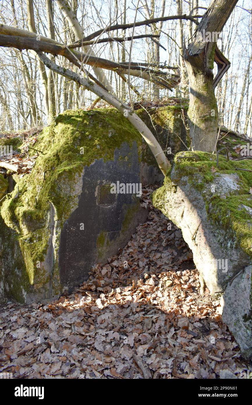 Eyewitnesses Wrecked Wehrmacht bunker Ruins of an old position in the ...