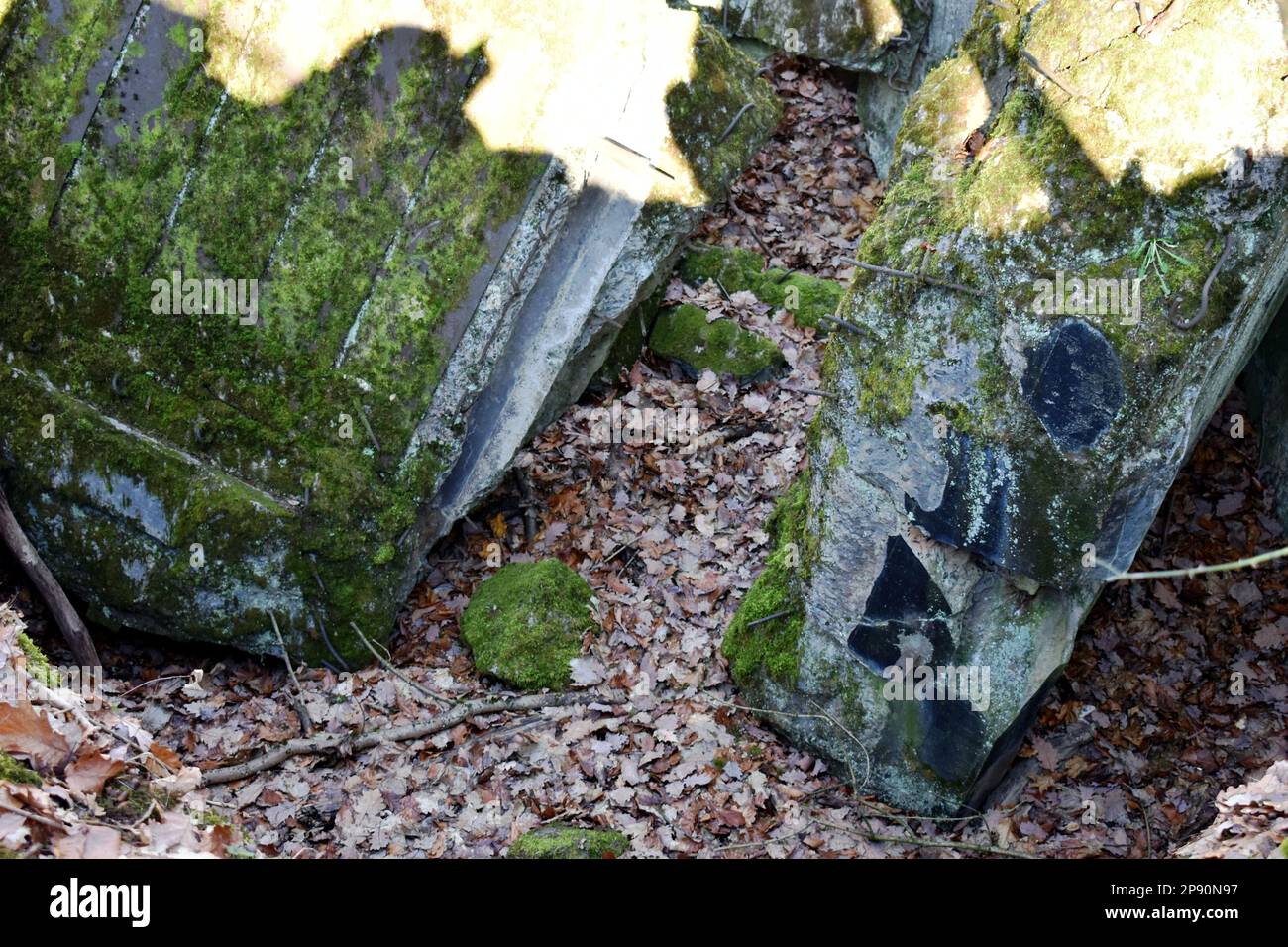 Eyewitnesses Wrecked Wehrmacht bunker Ruins of an old position in the ...
