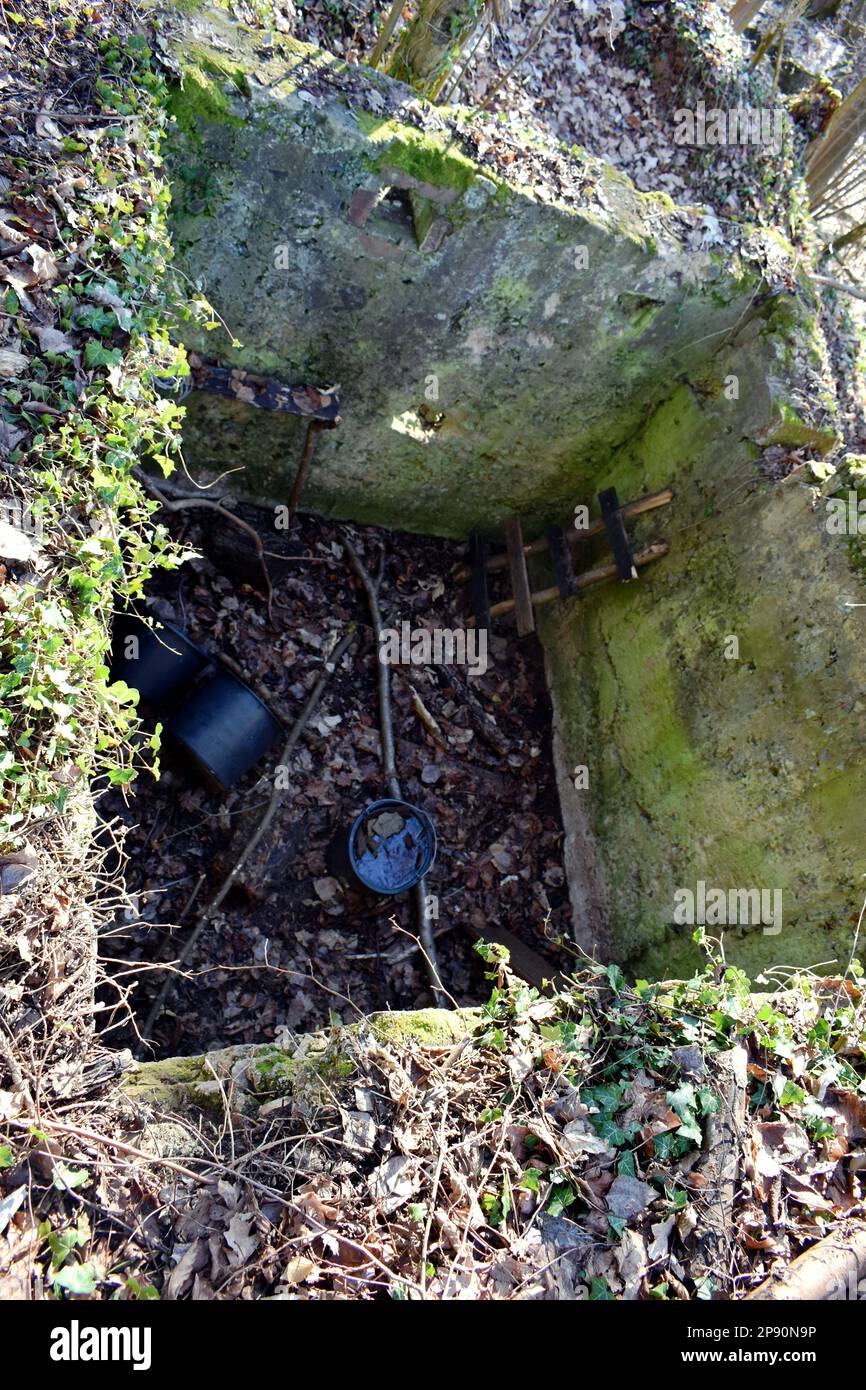 Eyewitnesses Wrecked Wehrmacht bunker Ruins of an old position in the ...