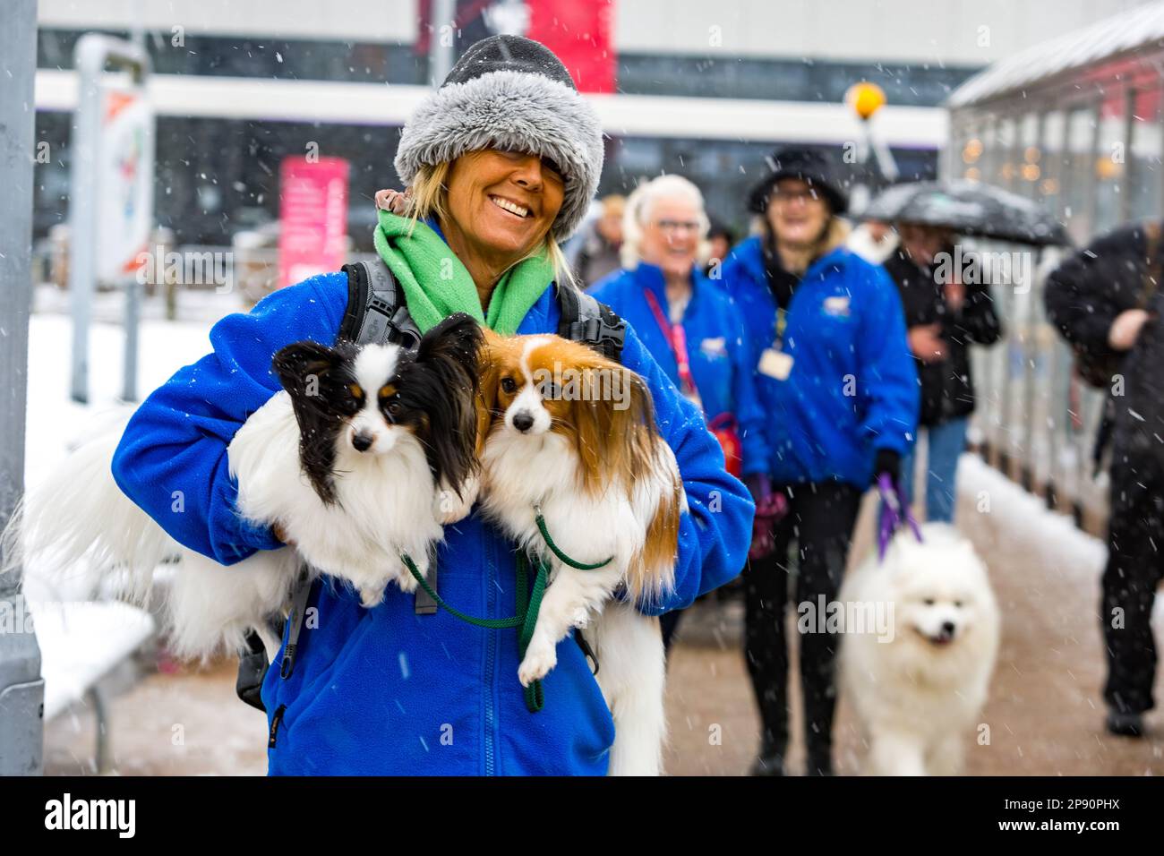Birmingham, 10 March 2023. Dogs representing the Working & Pastoral ...