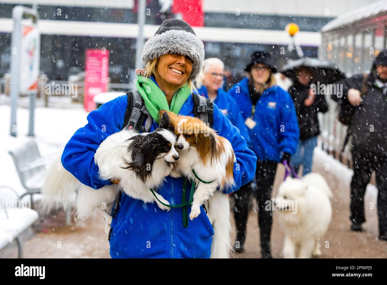 Crufts23 hi-res stock photography and images - Alamy
