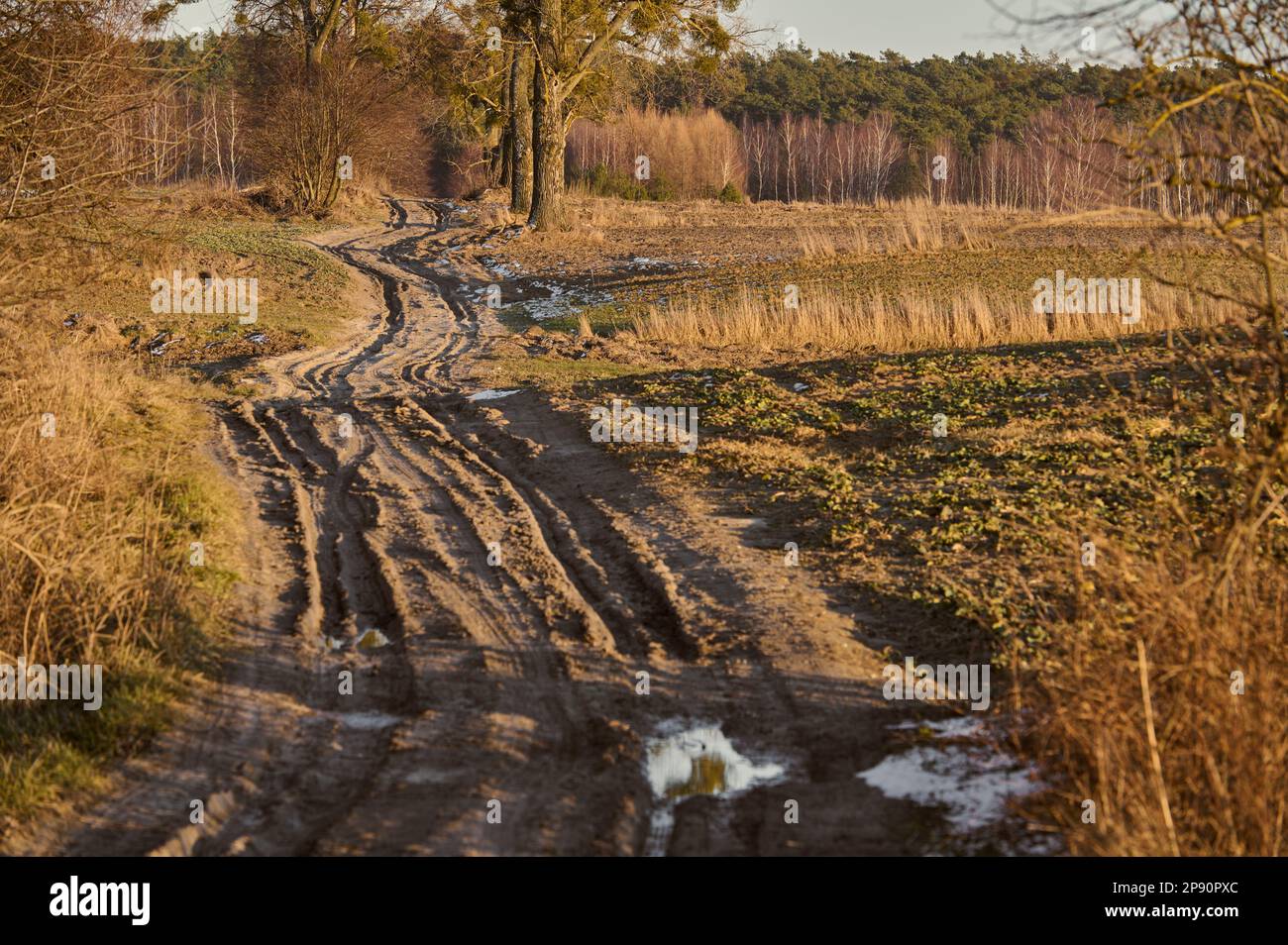 Mud ruts hi-res stock photography and images - Alamy