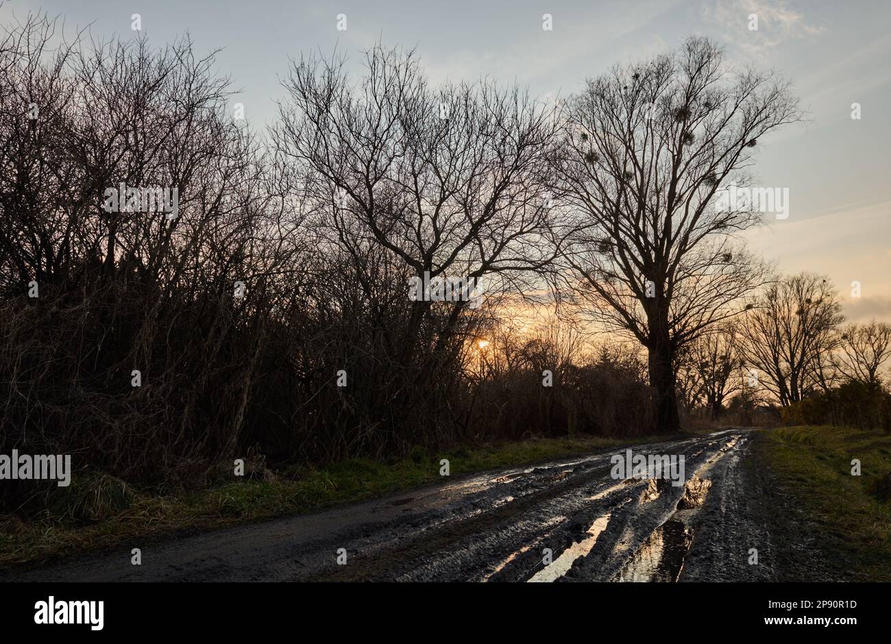 Mud ruts hi-res stock photography and images - Alamy