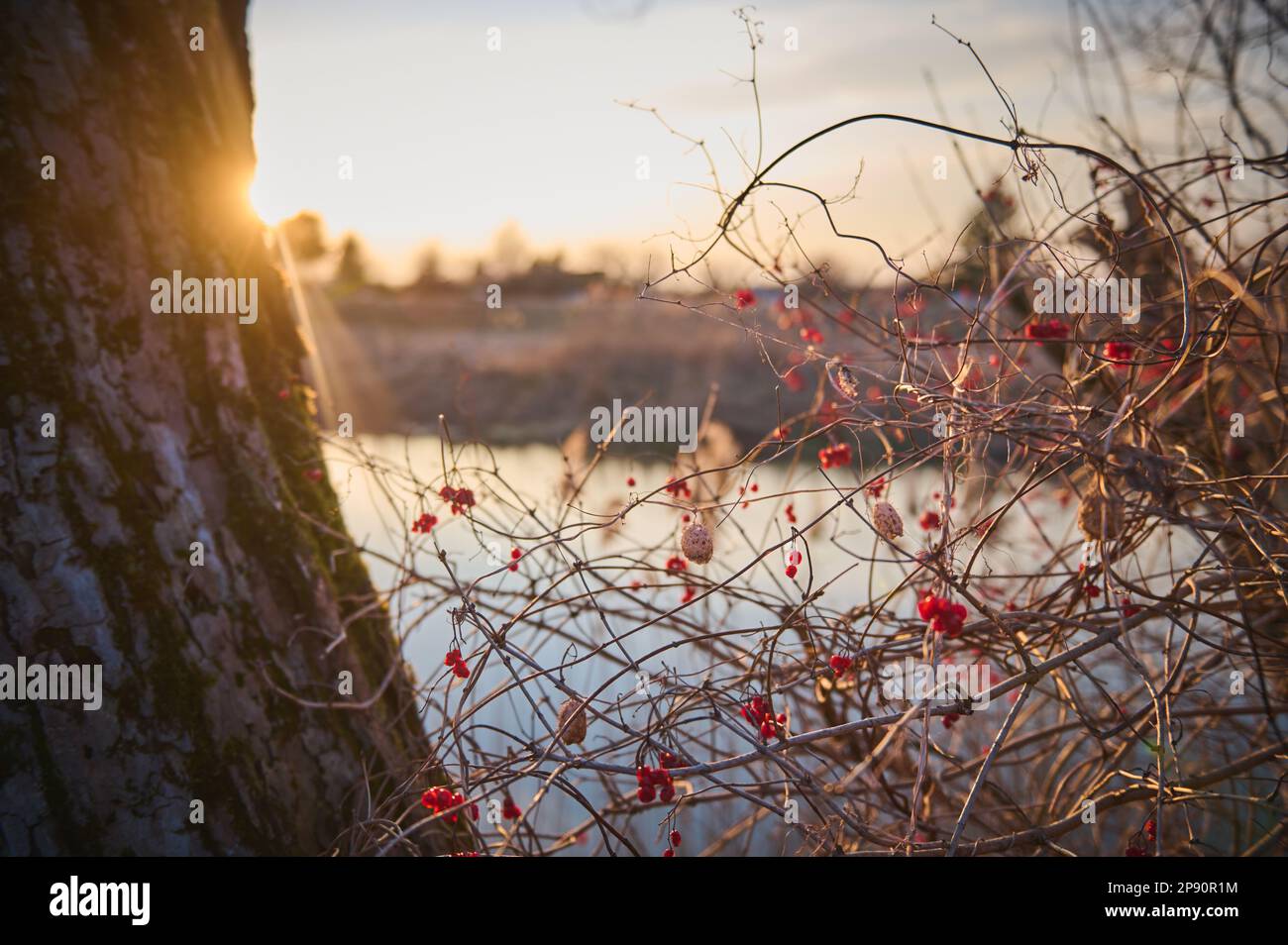 The rays of the sun falling on colorful drapes against the background ...
