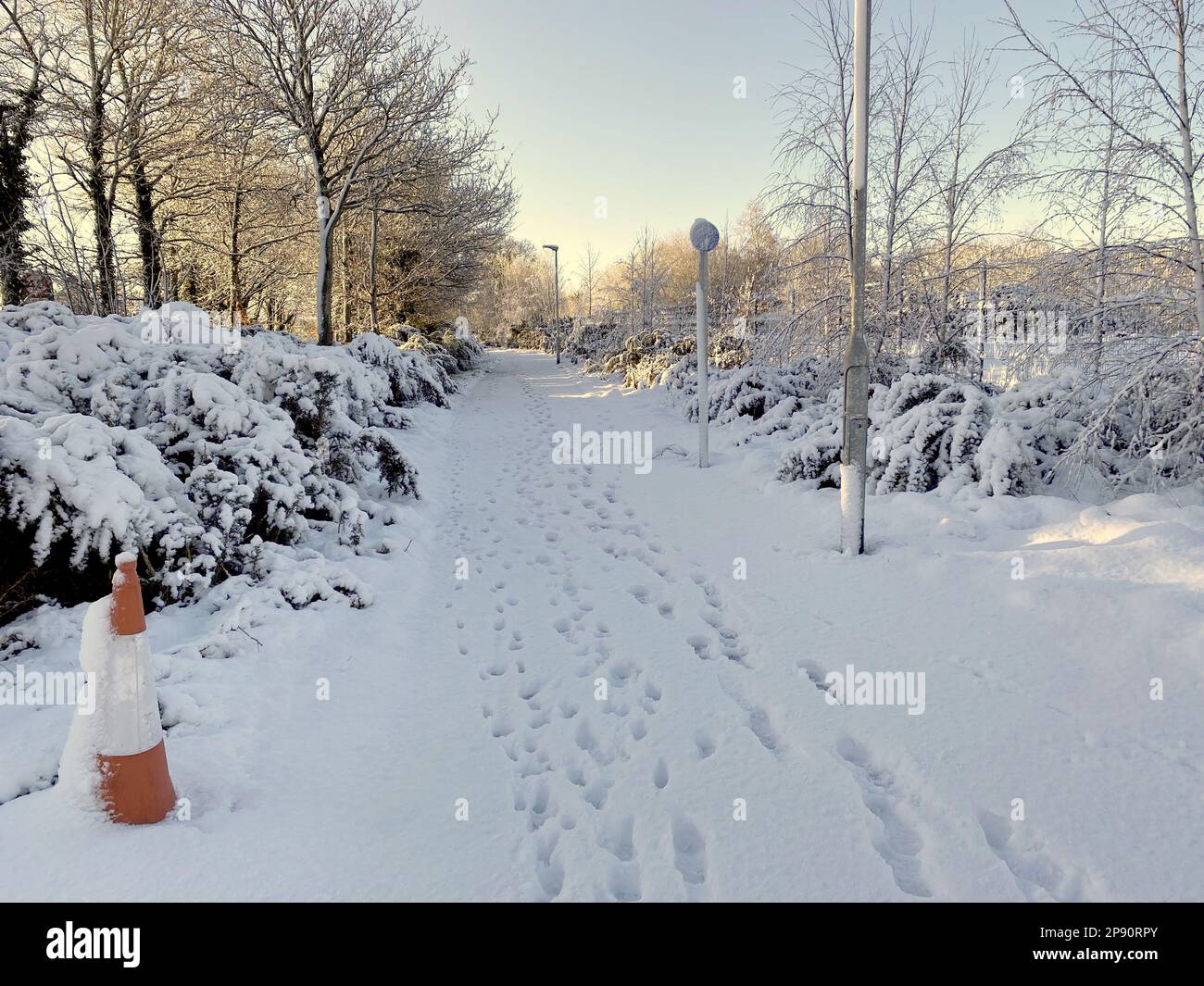 Footprints in the crisp snow along a path after heavy snow fall in ...