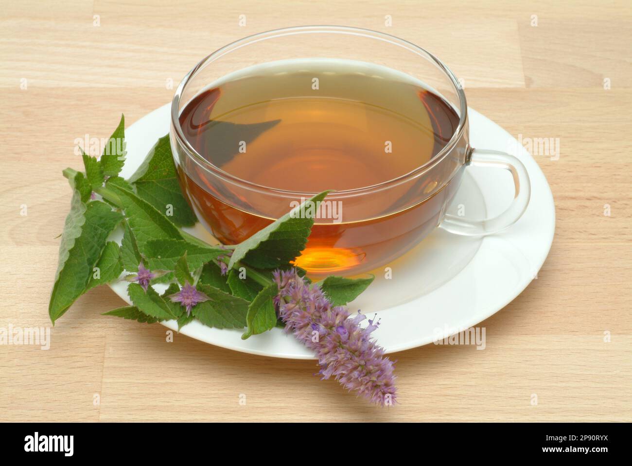 Stachys officinal hi-res stock photography and images - Alamy