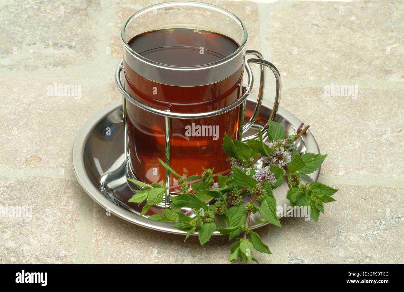Tee aus Pfefferminze, Pfefferminztee, Aufguß, Heilpflanze, medizinische ...