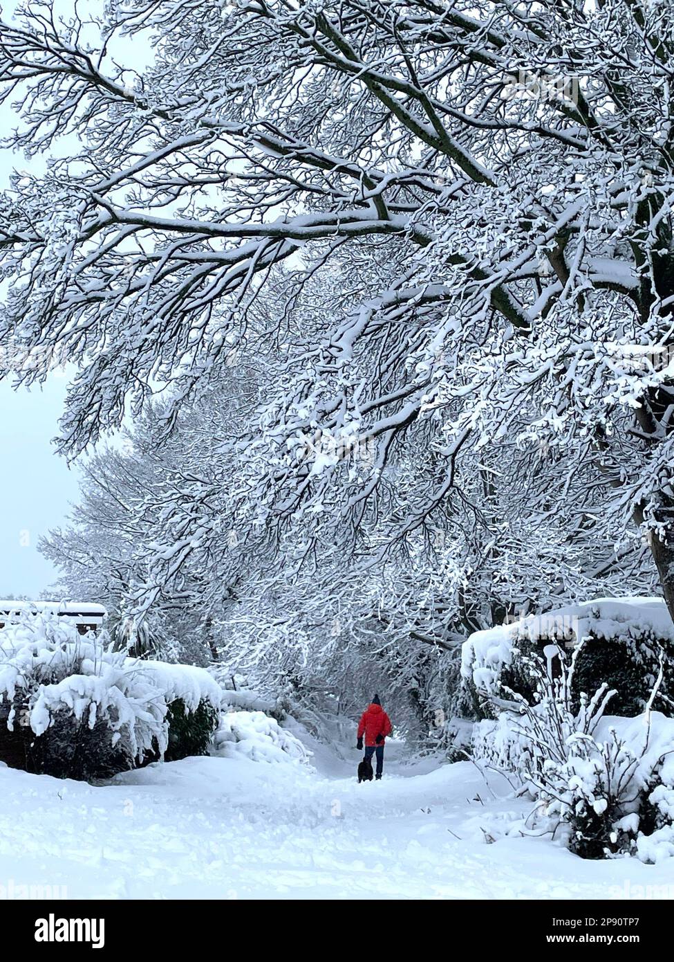 A view of the Loxley area of Sheffield after heavy snow overnight ...