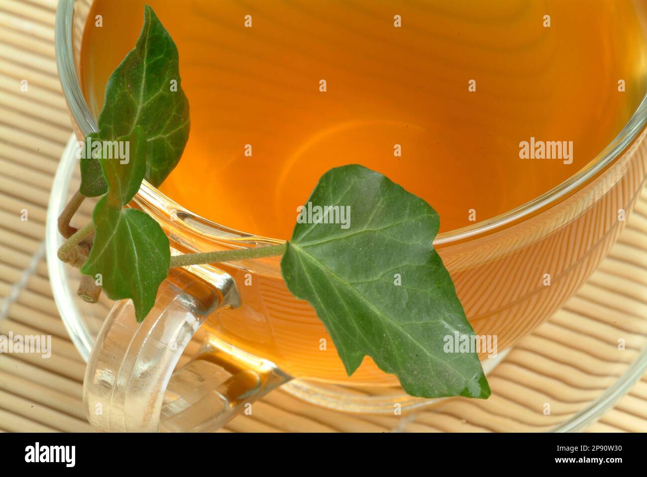 Ivy hedera helix power hi-res stock photography and images - Alamy