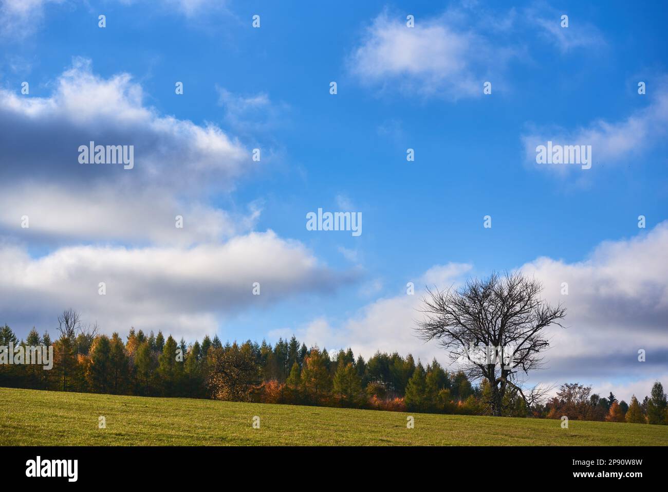 Sloping paddock hi-res stock photography and images - Alamy