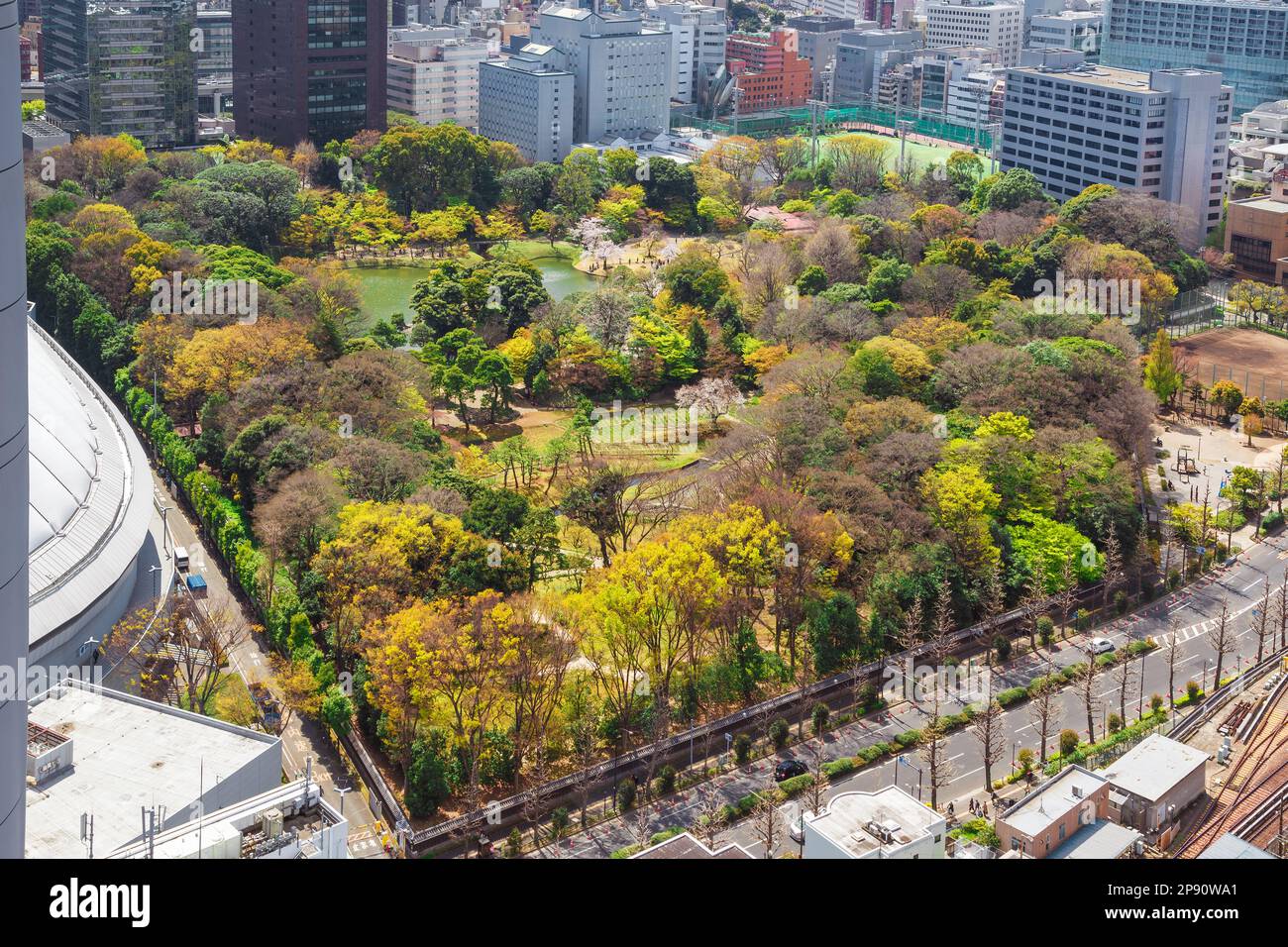 Aerial view of Koishikawa Korakuen filled with cherry blossom, a ...