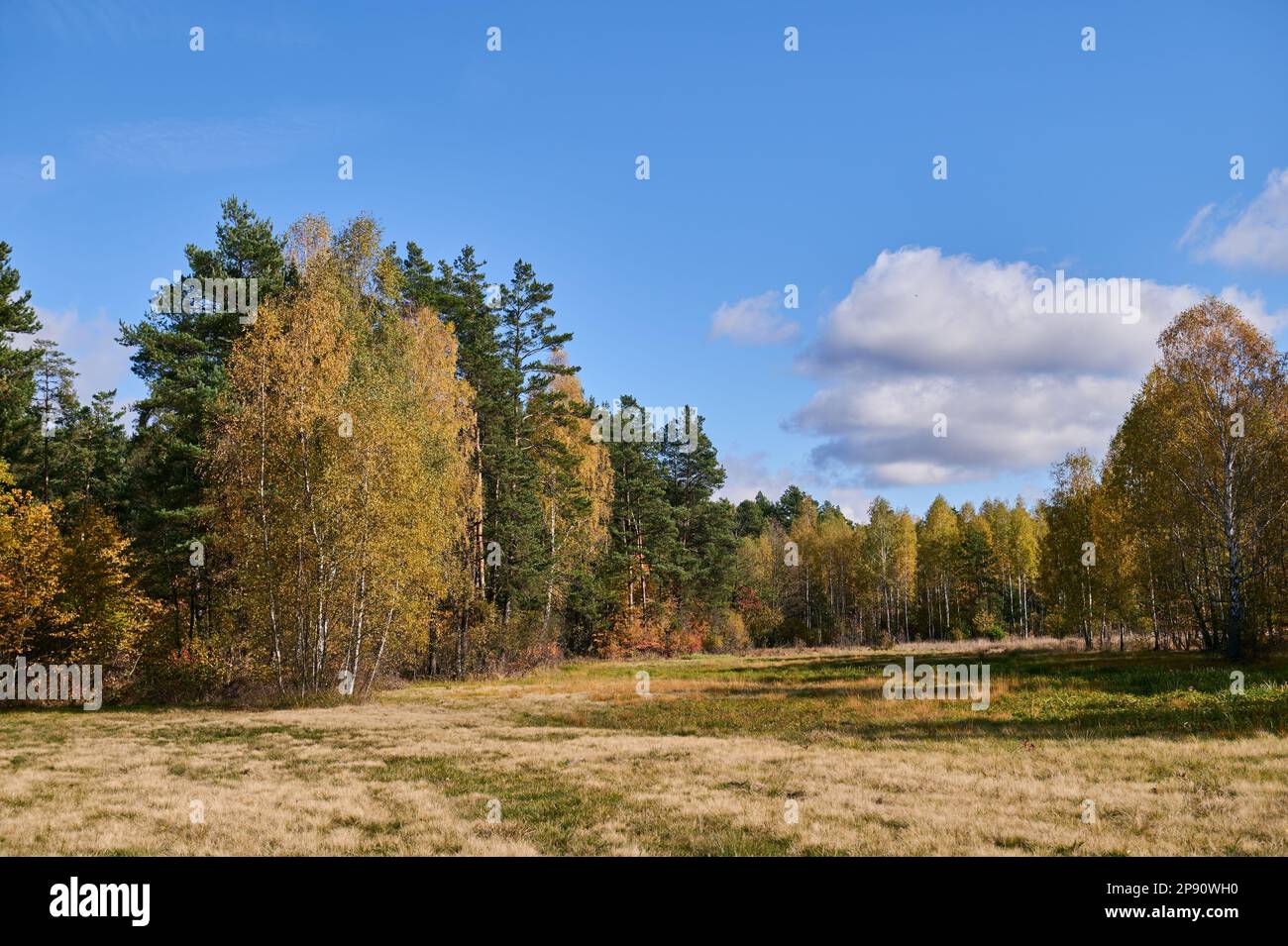 Swampy areas hi-res stock photography and images - Alamy