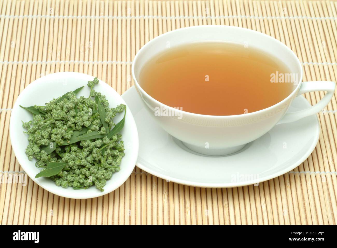 Wurzpflanze hi-res stock photography and images - Alamy