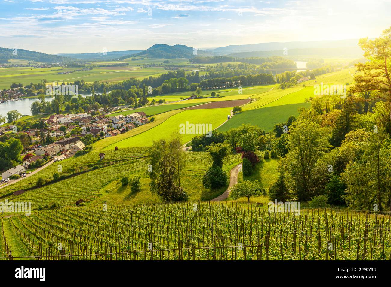 Am stein winery hi-res stock photography and images - Alamy