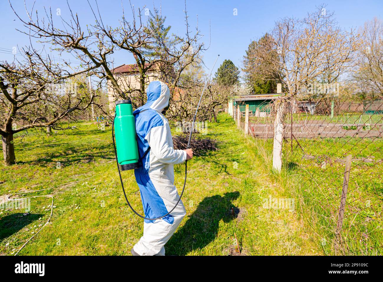 Farmer in protective clothing and gas mask sprays of fruit trees in ...