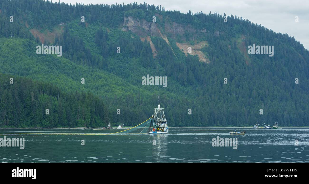 A Fishing boat sailing on the lake. Evergreen forest in the boreal zone ...