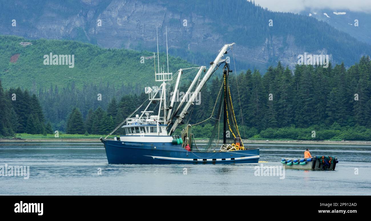 A Fishing boat sailing on the lake. Evergreen forest in the boreal zone ...