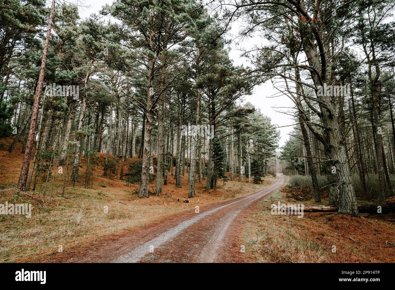 Llanddwyn Island, Snowdonia, North Wales. Featuring Twr Mawr Lighthouse ...