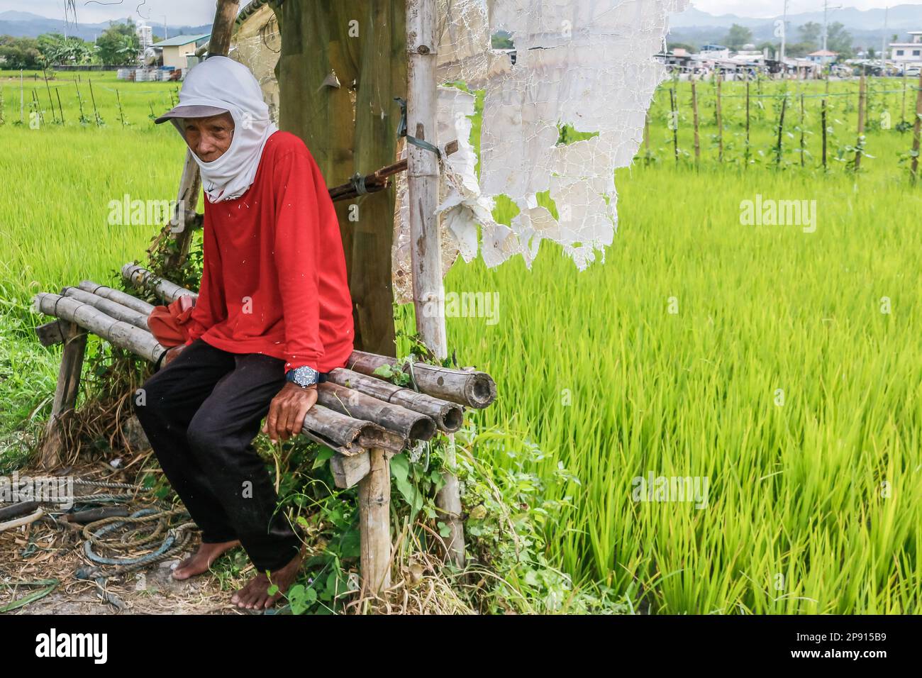 A farmer takes a break under a makeshift house on a small agricultural ...