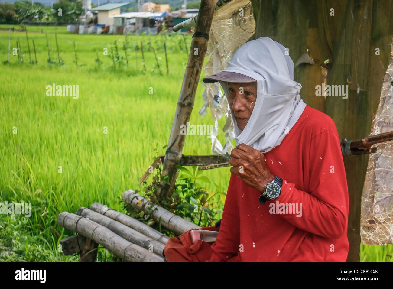 A farmer takes a break under a makeshift house on a small agricultural ...