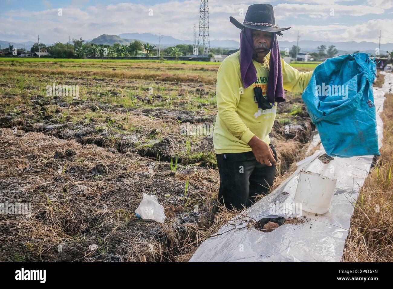 A farmer put seedlings on a potting soil of a small agricultural land ...