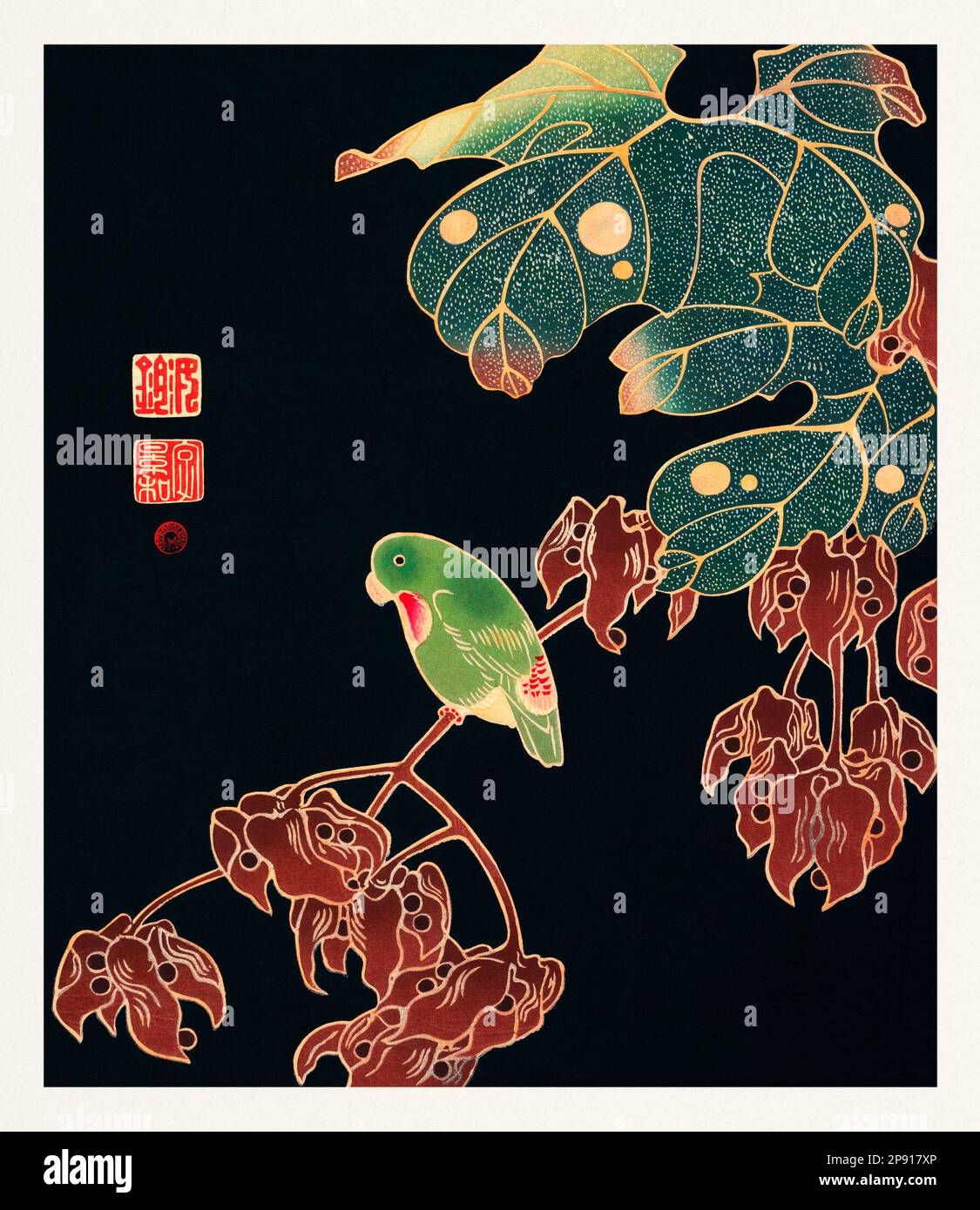 the parroquet. Colorful bird illustration on black background by Itō ...