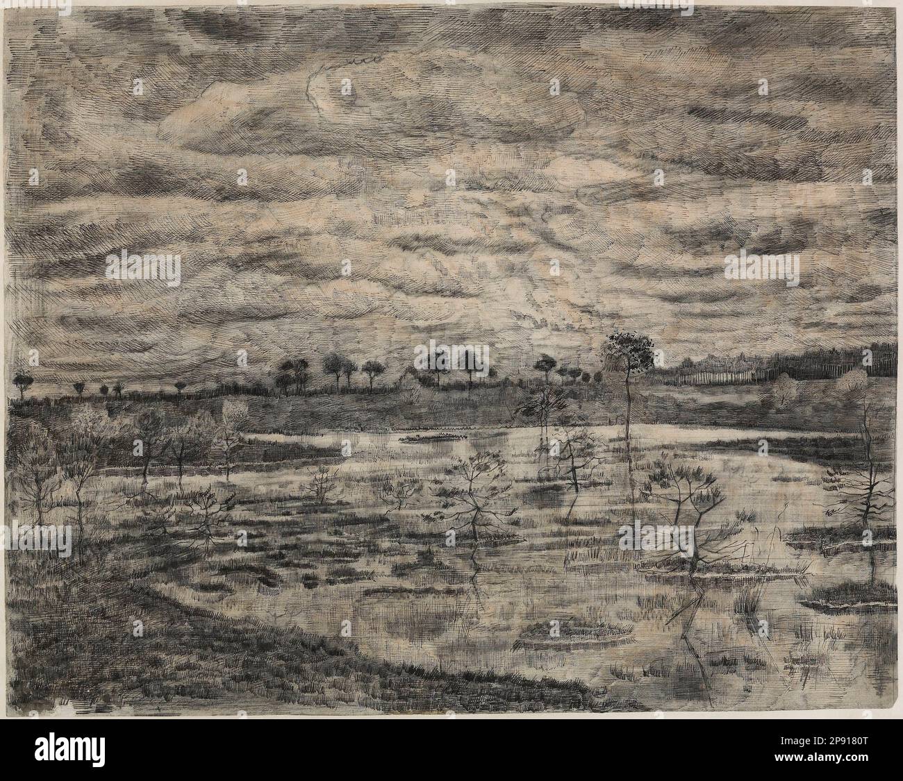 The Swamp / Marsh June 1881 by Vincent van Gogh Stock Photo - Alamy