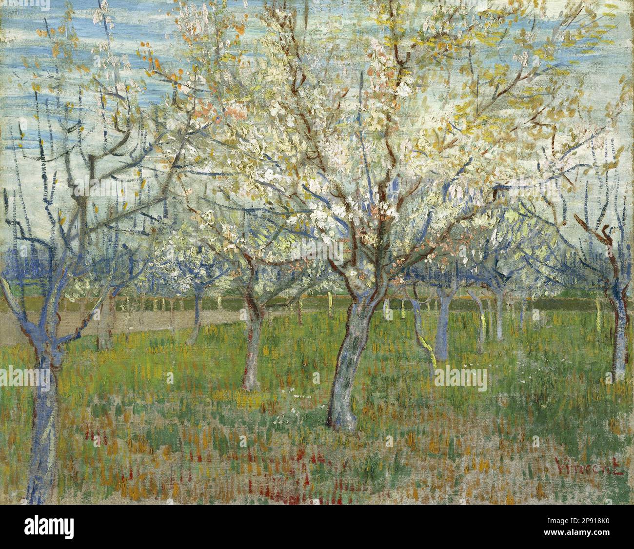The Pink Orchard also Orchard with Blooming Apricot Trees 1888 by ...