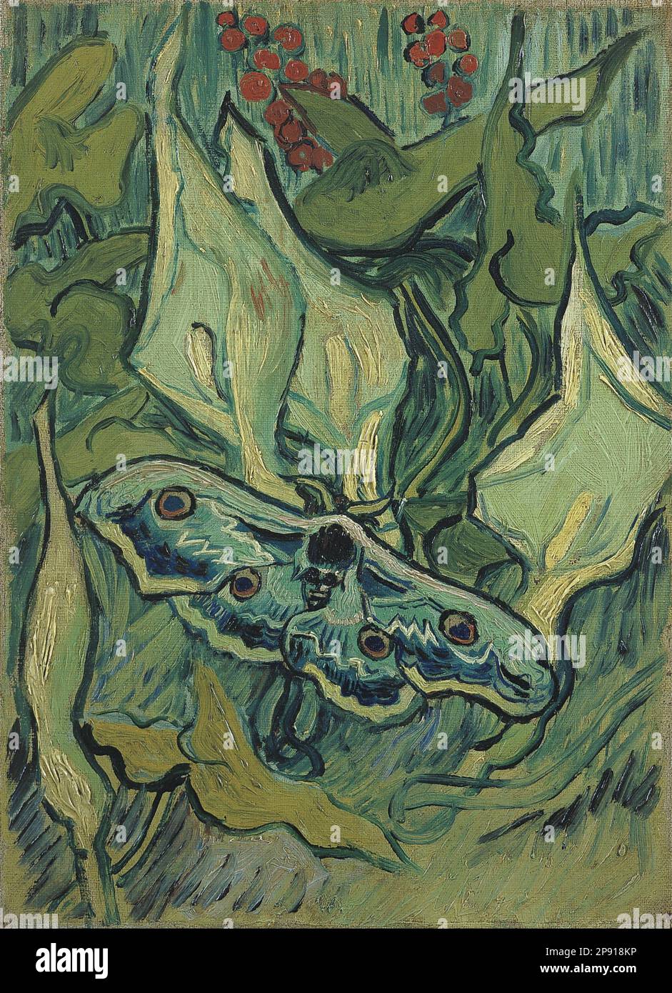 Emperor moth (May 1889 - 1889) by Vincent van Gogh Stock Photo - Alamy