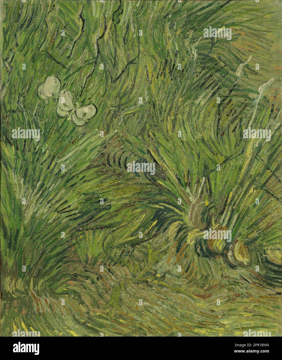 Garden with butterflies 1889 by Vincent van Gogh Stock Photo - Alamy