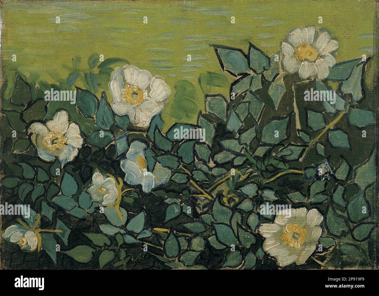Wild roses (April 1890 - May 1890) by Vincent van Gogh Stock Photo - Alamy