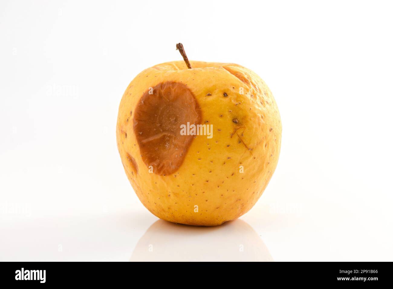 Wastage background hi-res stock photography and images - Alamy