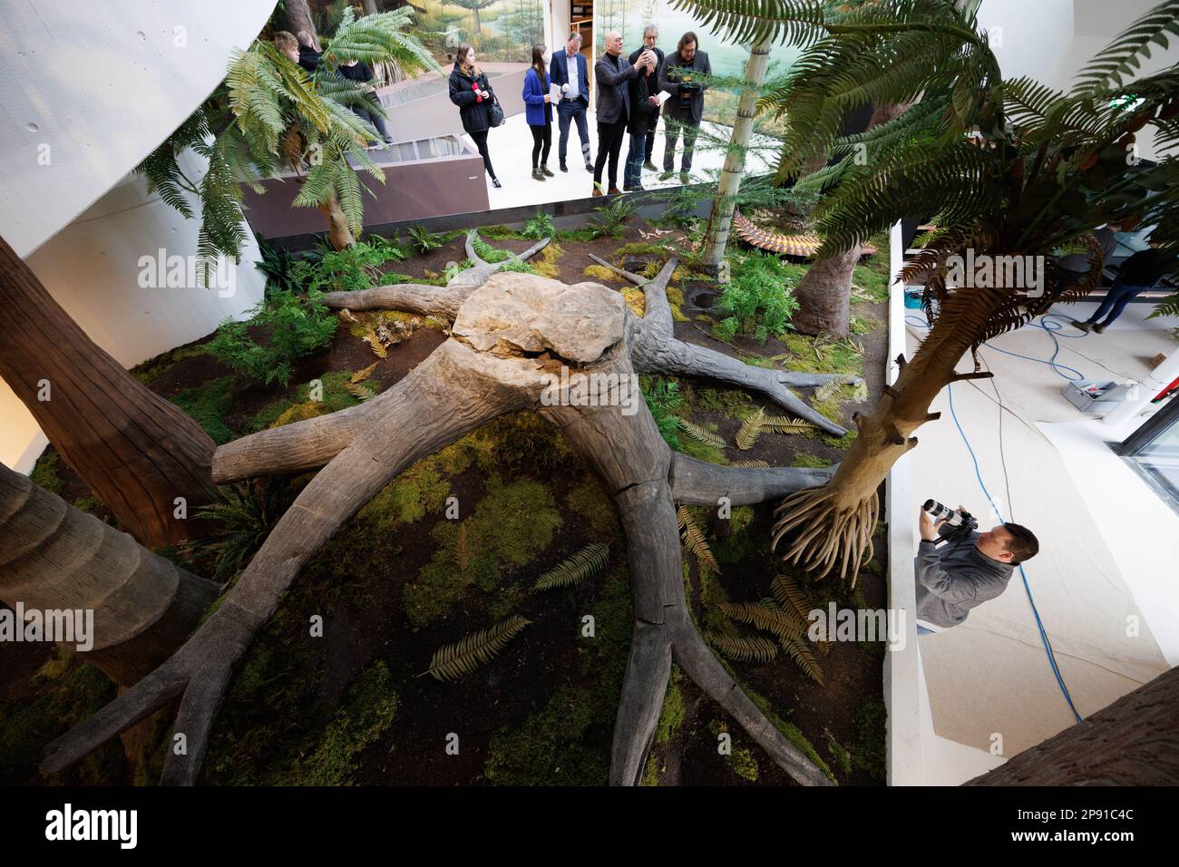 10 March 2023, Lower Saxony, Osnabrück: View of the replica of a signet ...