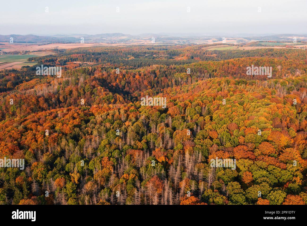 Aerial View of Książ Castle near Wałbrzych, Poland - A Majestic Royal ...