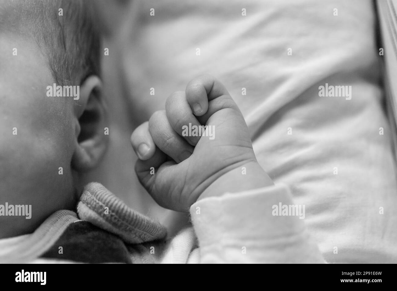 black and white image of detail of baby hand fist Stock Photo - Alamy