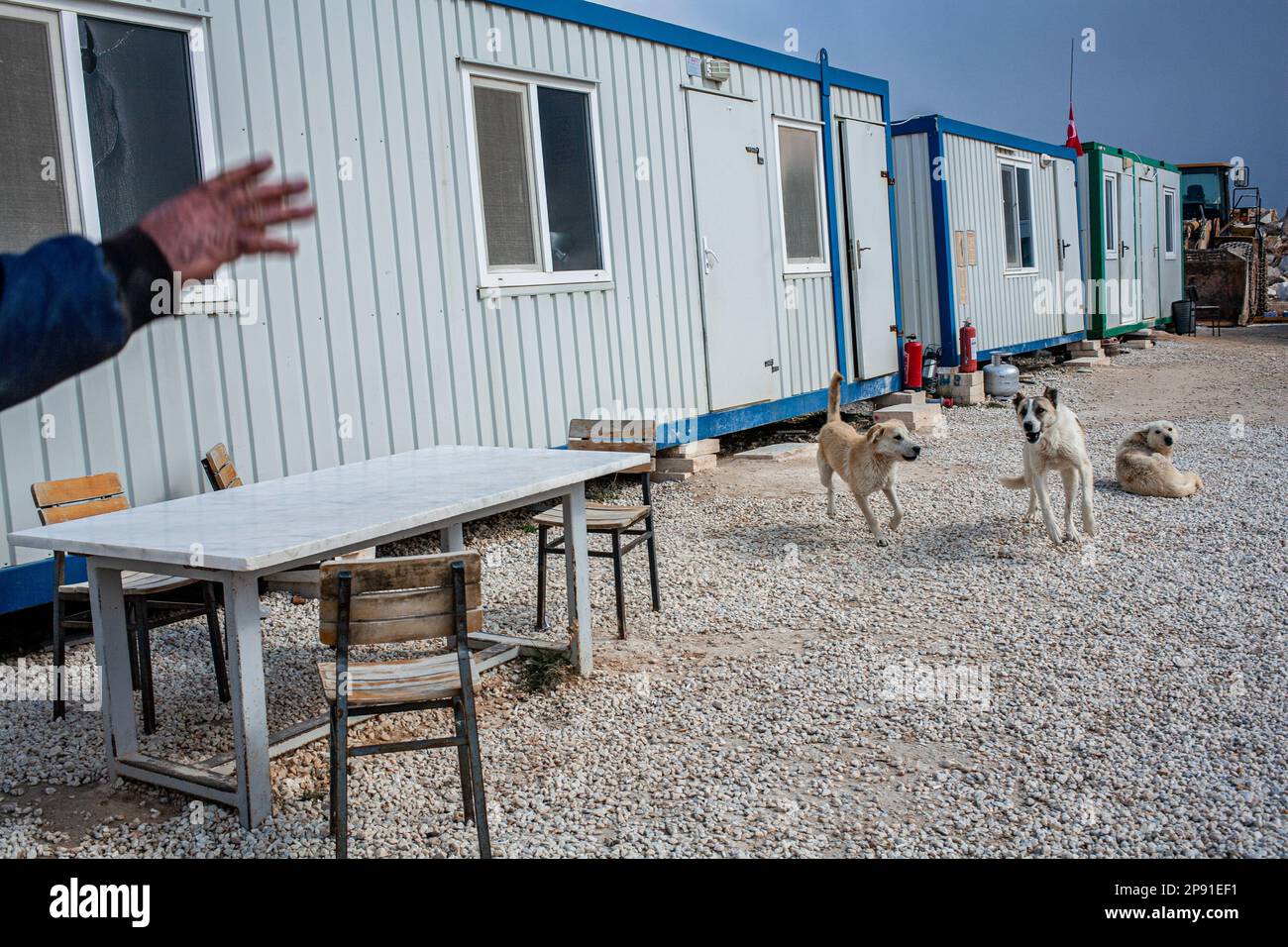 Guards and dogs provide security in areas actively used by companies ...