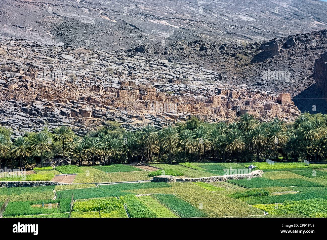 The ruins of the mud brick village of Wadi Ghul at the start of the ...
