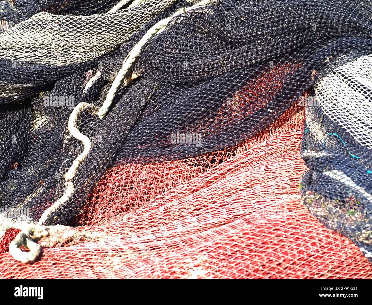 Octopus nets hi-res stock photography and images - Alamy