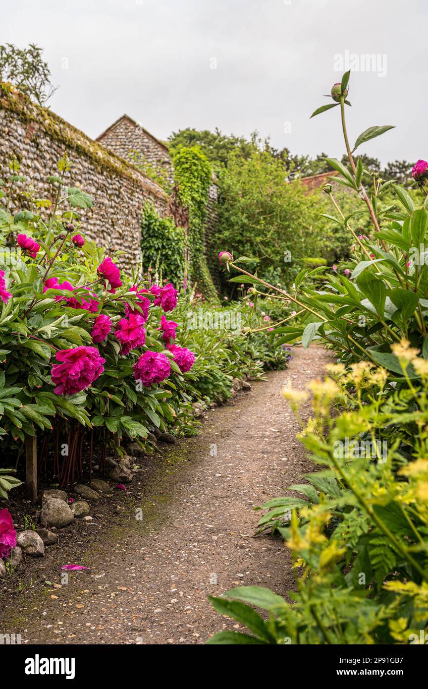 Flower Garden Path