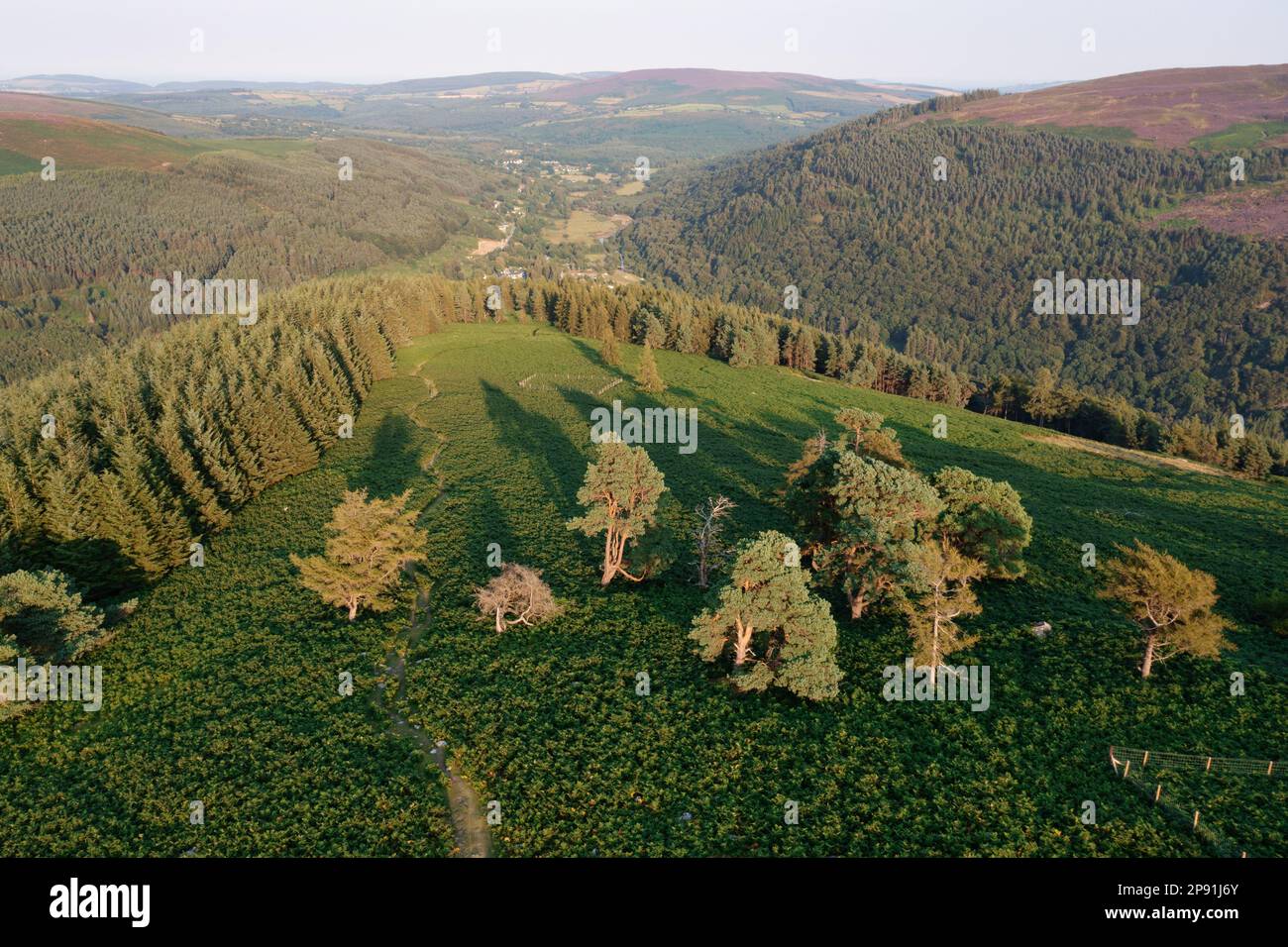 Aerial view of lakes located in Glendalough Valley (Irish: Gleann Dá ...